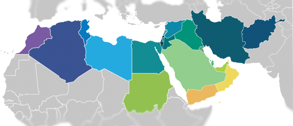7 Reasons why you can’t ignore the MENA market! – PG Connects Aqaba